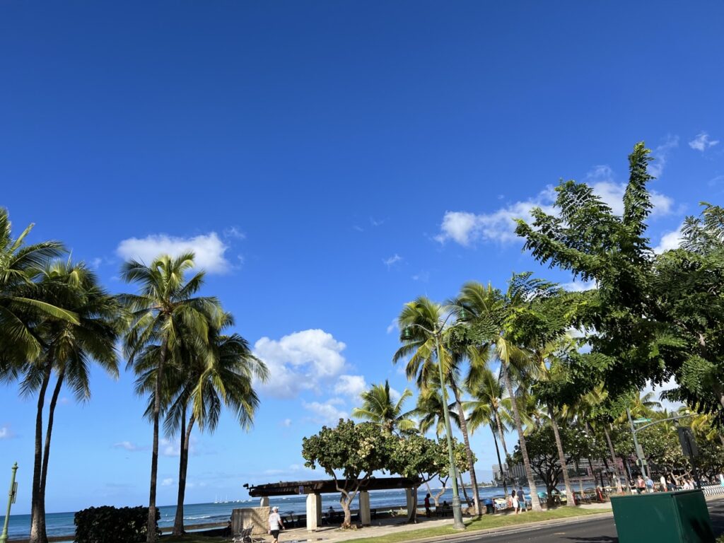 ハワイ現地ツアーの選び方：VELTRA -ベルトラなら豊富な口コミで安心